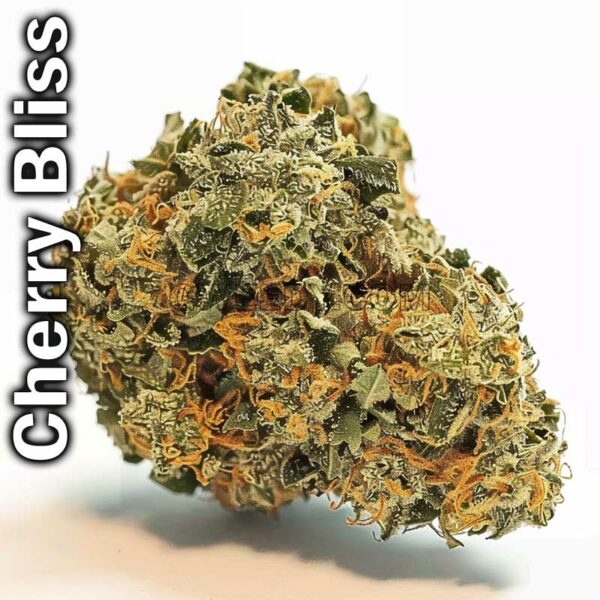 cherry bliss thc 15 20 % cbd 0 . 5 1 % genetic sativa dominant hybrid ...