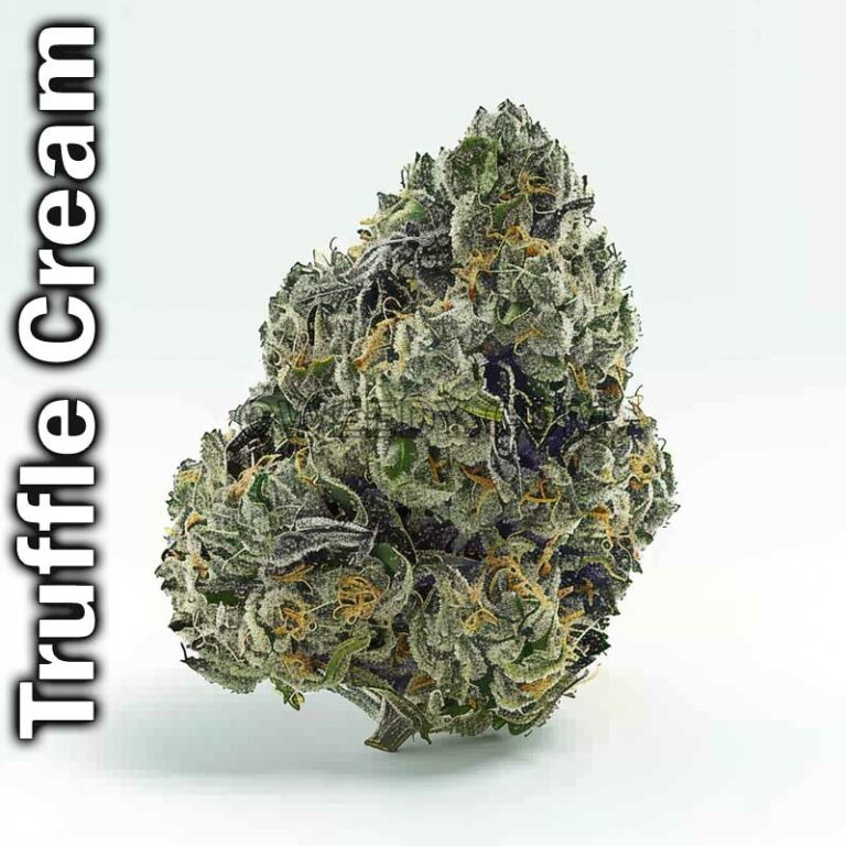 truffle cream thc 22 25 % cbd 0 . 2 1 % genetic indica dominant hybrid ...