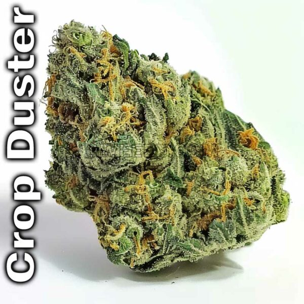 crop duster thc 25 28 % cbd 0 . 0 0 . 1 % genetic sativa dominant ...